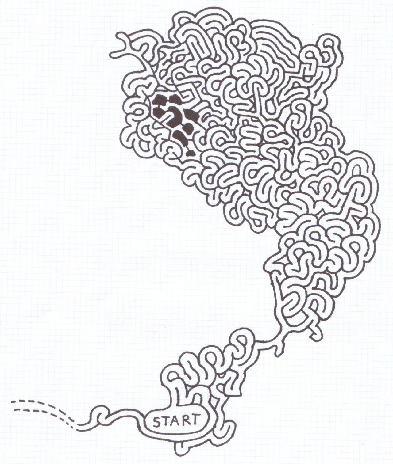 Wittgenstein Maze – Maze Structure